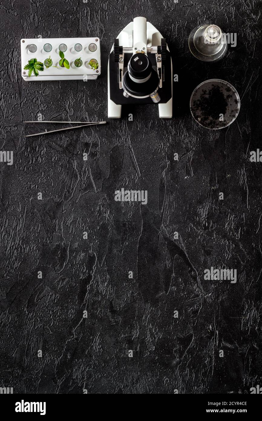 Plants with microscope in scientific laboratory. Top view Stock Photo ...