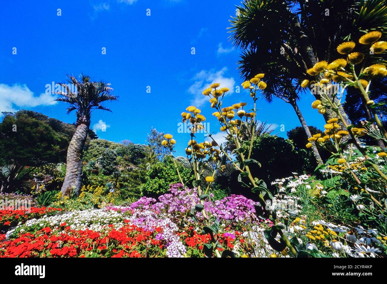 Abbey Garden Founded by Augustus Smith in 1834 Tresco, Isles of Scilly ...