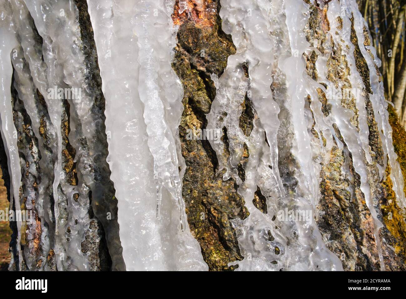 Sunshine sunnny sunlight hi-res stock photography and images - Alamy