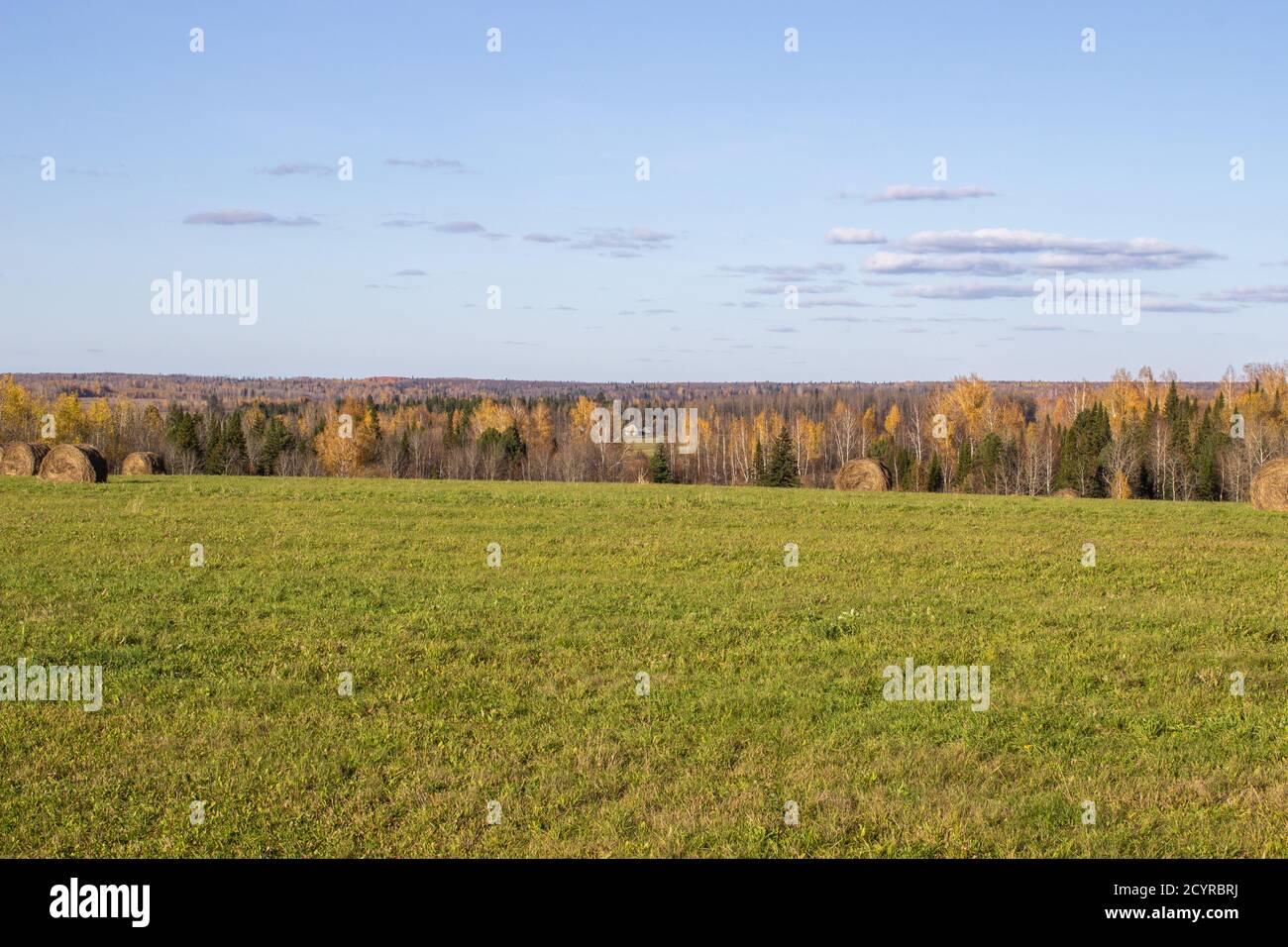 Hay bales in the field in autumn. Agricultural field with sky Stock ...