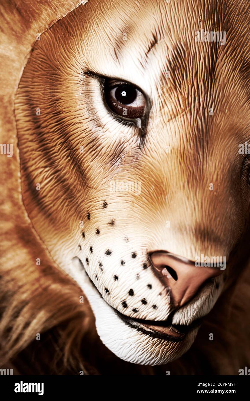 Lion man mask hi-res stock photography and images - Alamy