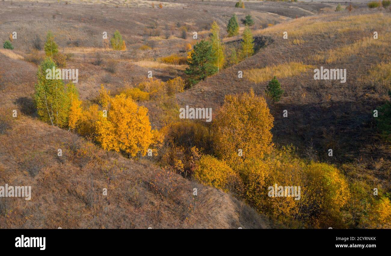 Top view of the bizarre shape of the ravine with trees growing on it ...