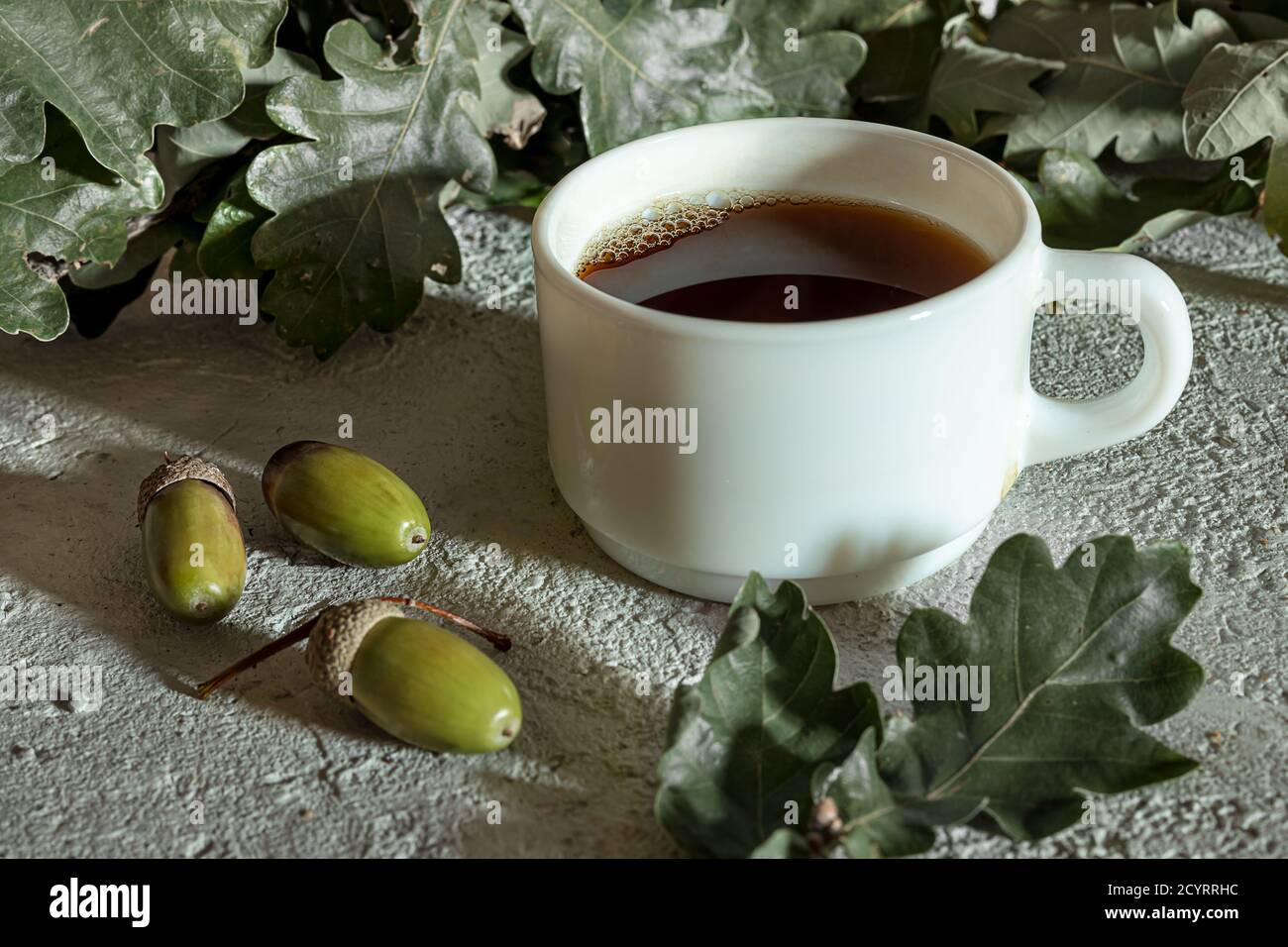 Cup of acorn coffee, acorns and green oak leaves on a gray background ...