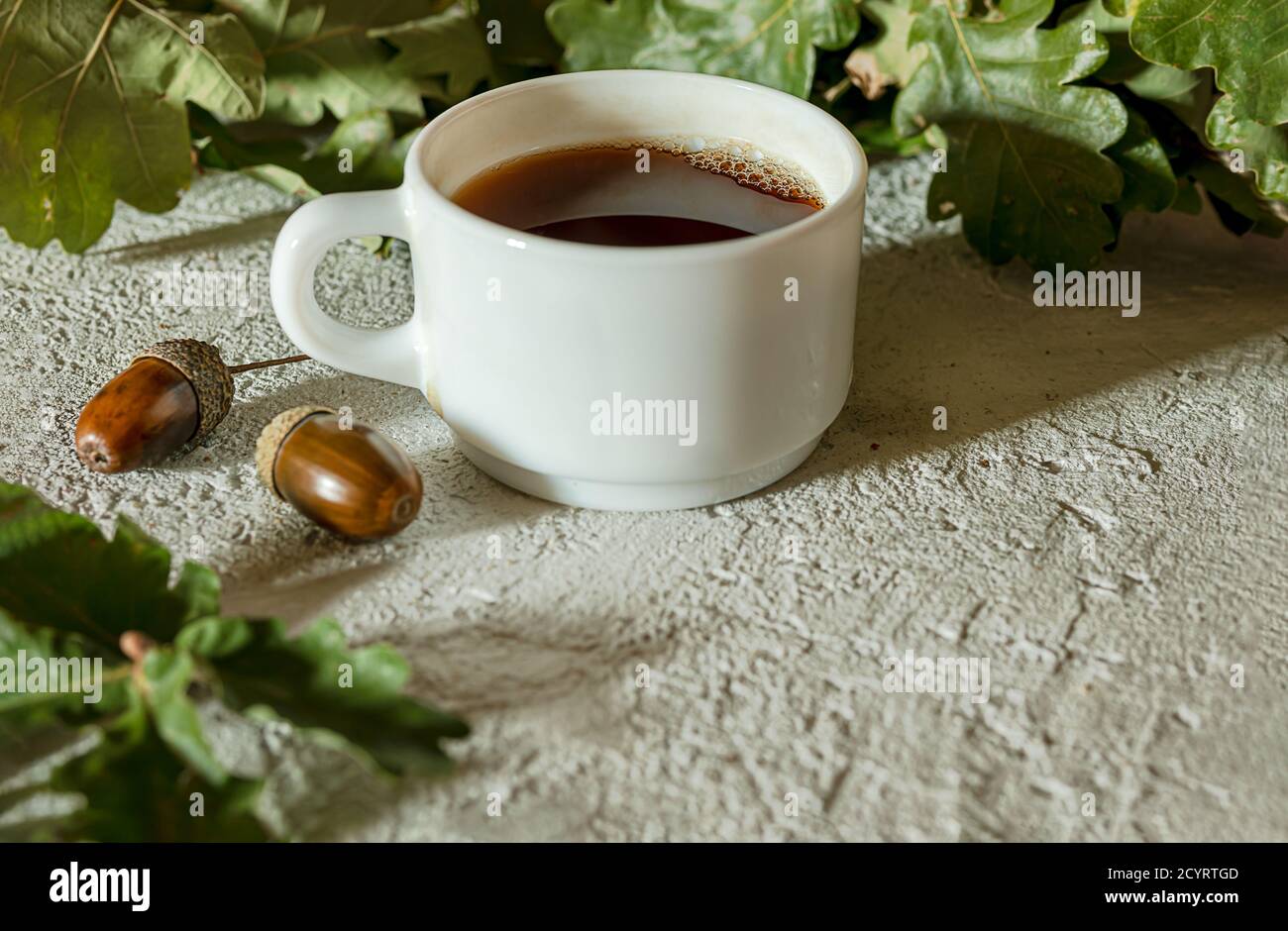 Cup of acorn coffee, acorns and green oak leaves on a gray background ...