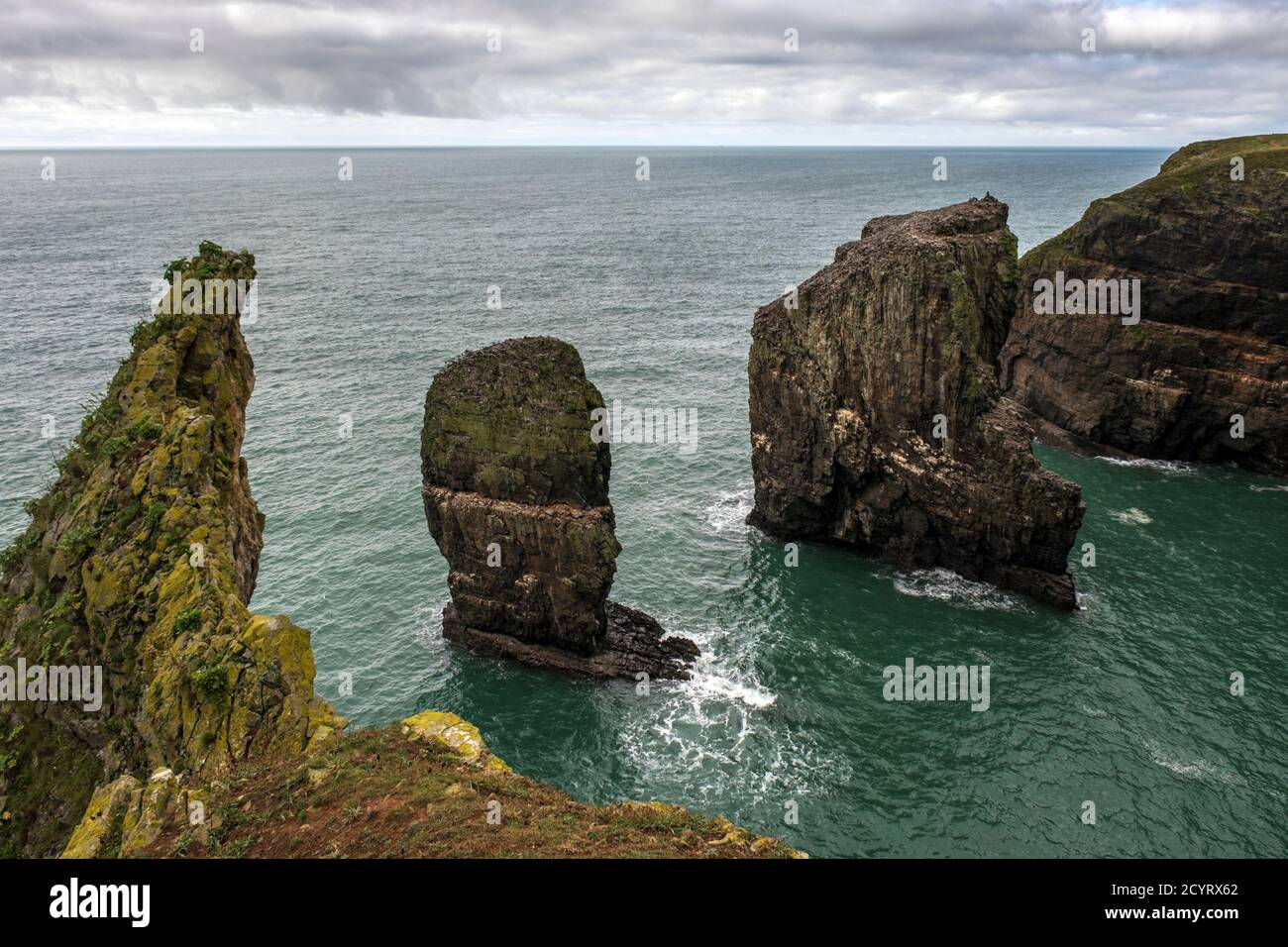 Elegug Stacks are dramatic pinnacles of limestone and home to colonies ...