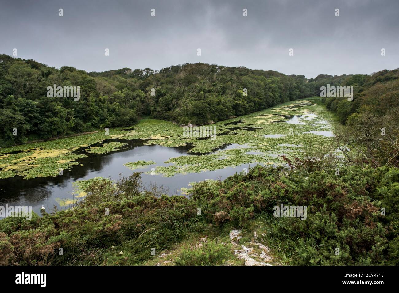 Freshwater ponds hi-res stock photography and images - Alamy