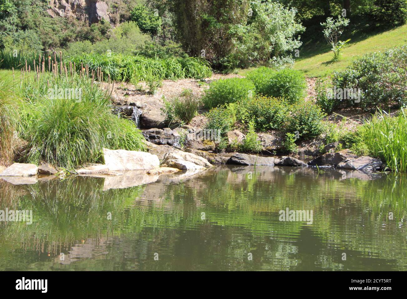 Rocks around pond hi-res stock photography and images - Alamy