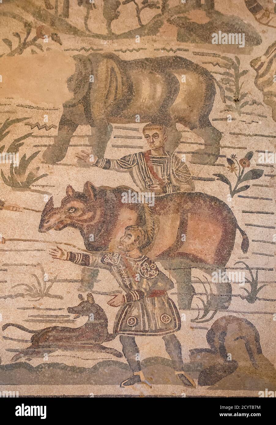 Embarking with a rhino and bear in Carthage, the Corridor of the Great ...