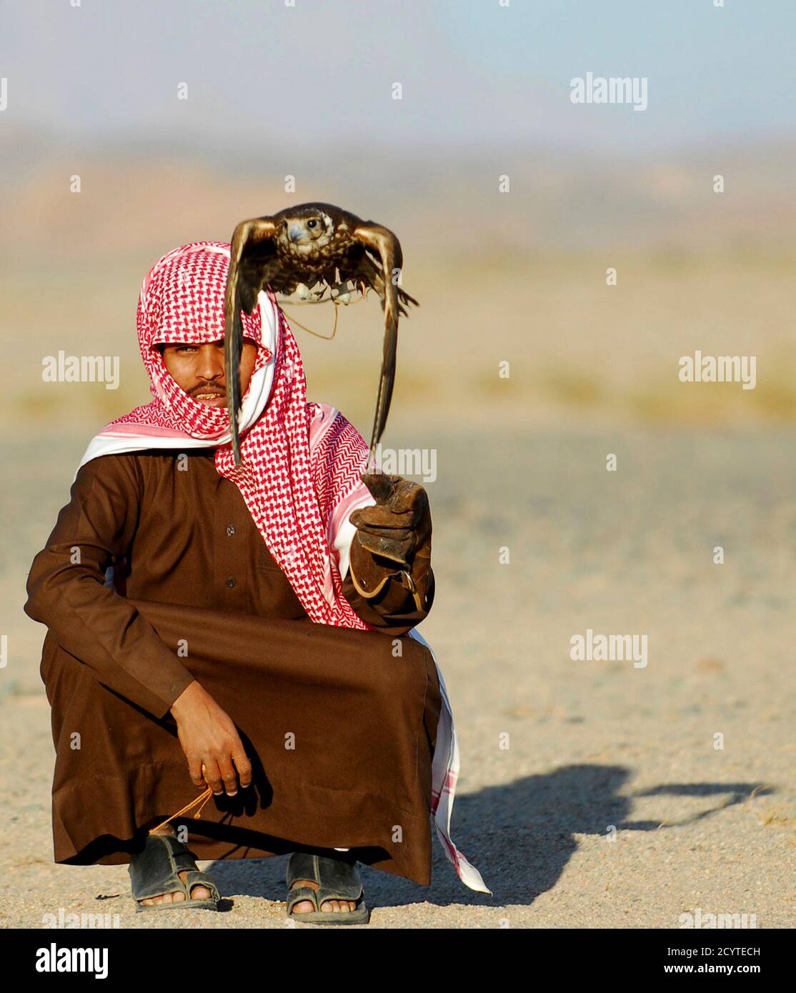 Saudi arabia hunting hi-res stock photography and images - Alamy