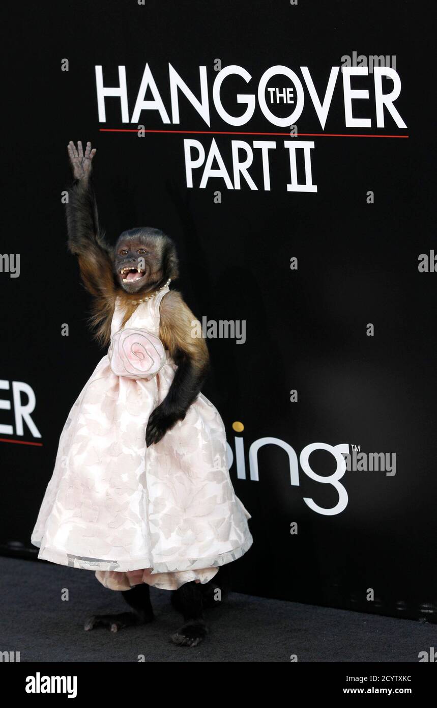 The hangover part ii premiere hi-res stock photography and images - Alamy