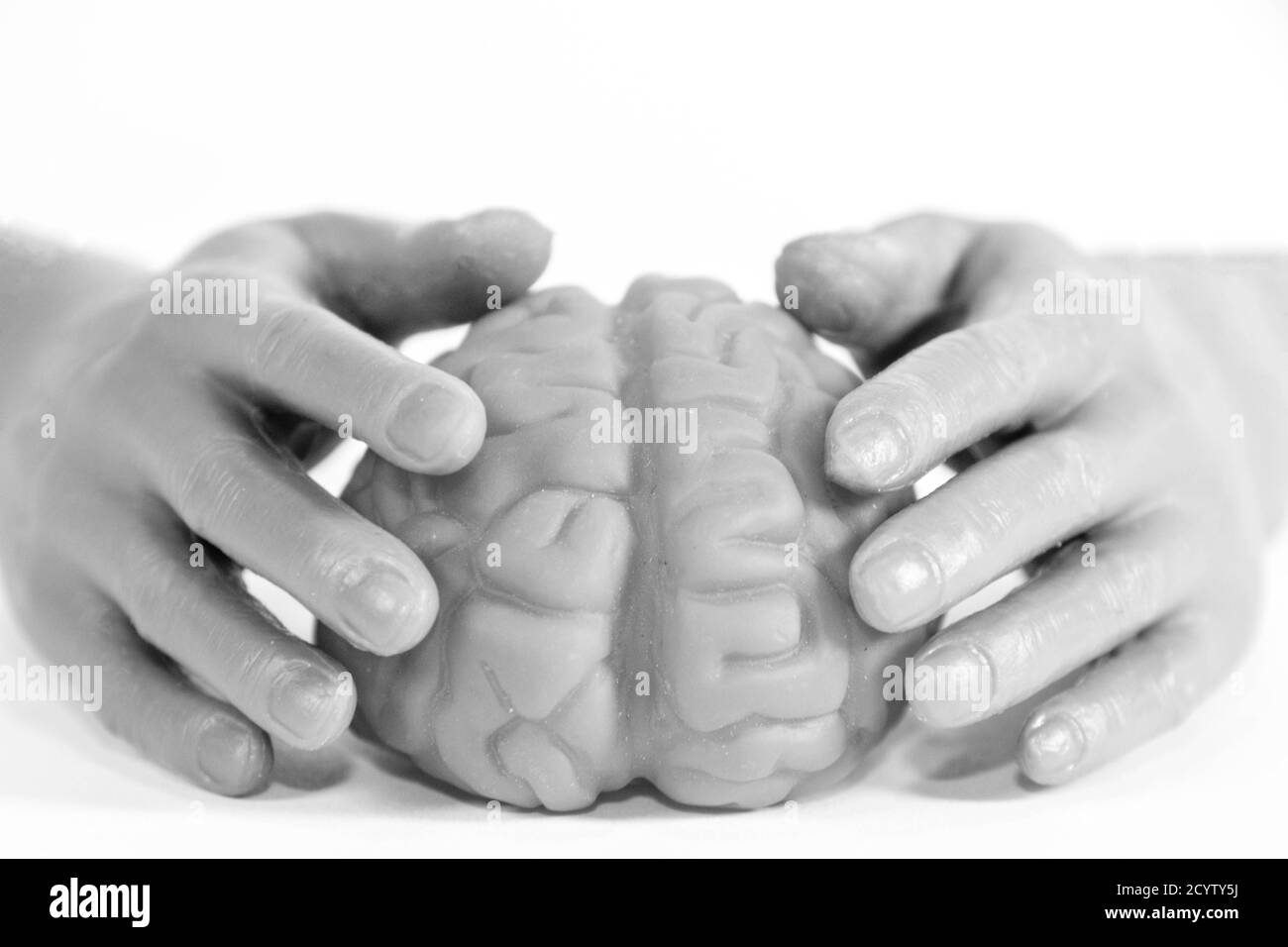 Human hands holding a human brain, shown in black and white Stock Photo ...