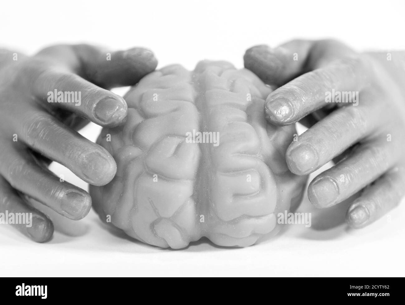 Human hands holding a human brain, shown in black and white Stock Photo ...