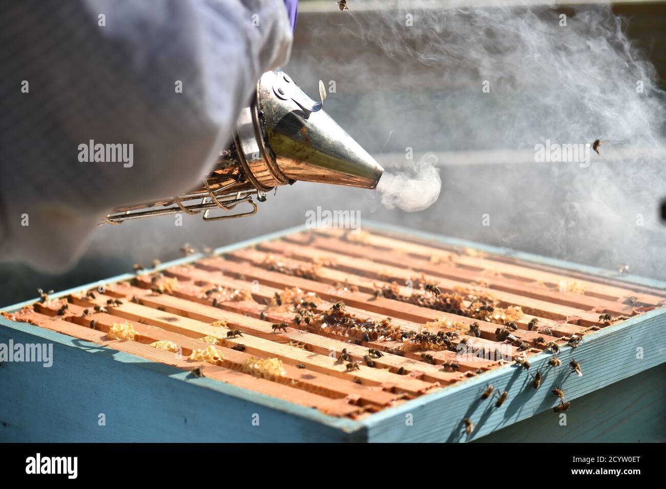 Beekeeping methods hi-res stock photography and images - Alamy
