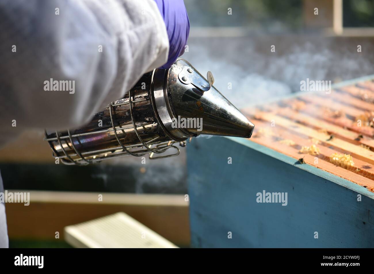 Environmental benefits of bees hi-res stock photography and images - Alamy