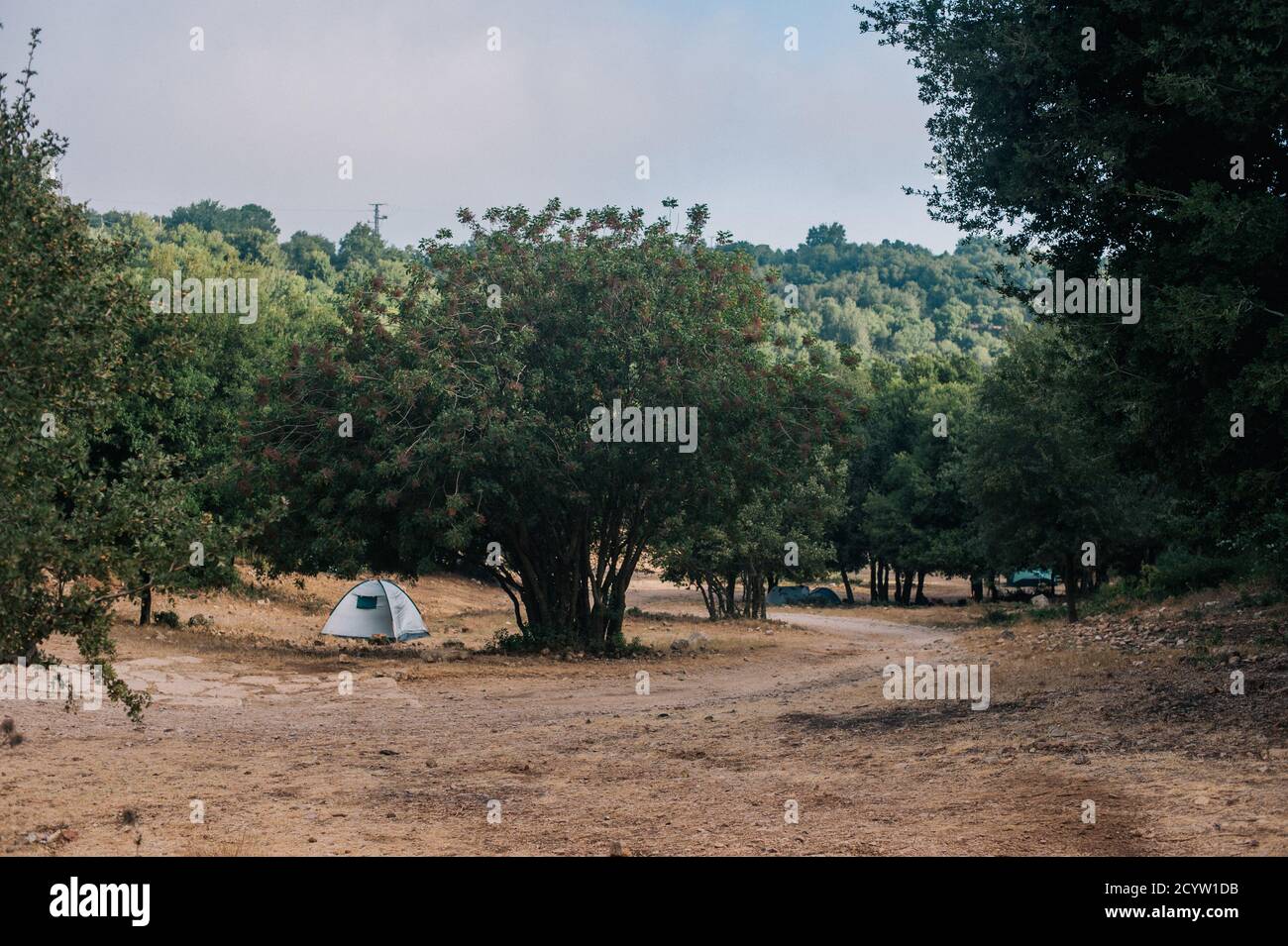 Tent under trees hi-res stock photography and images - Alamy