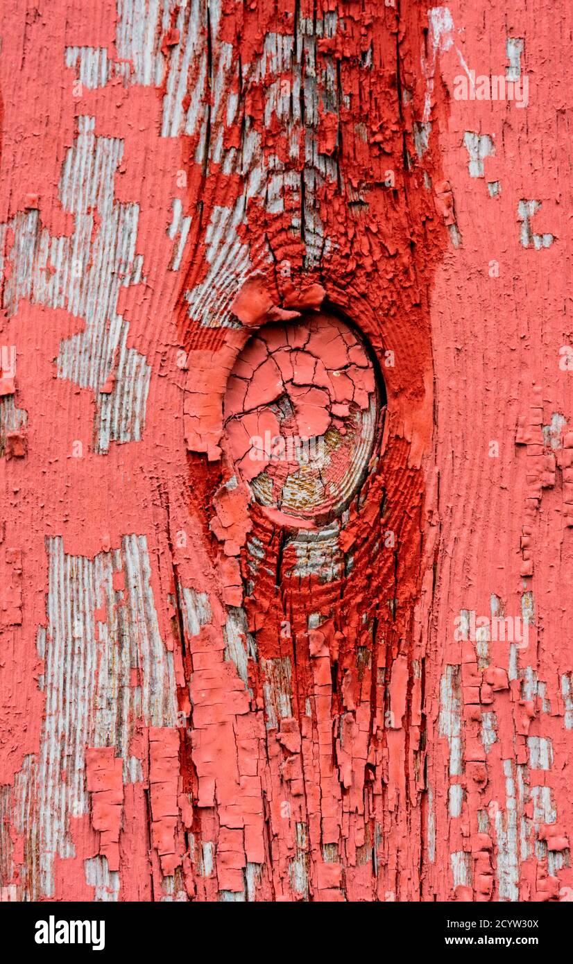Weathered red paint and broken windows are a common site on barns in ...