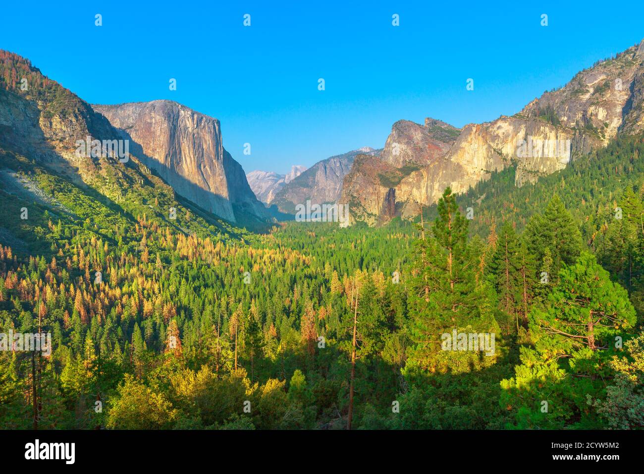 panorama at a scenic overlook in Yosemite National Park, California ...