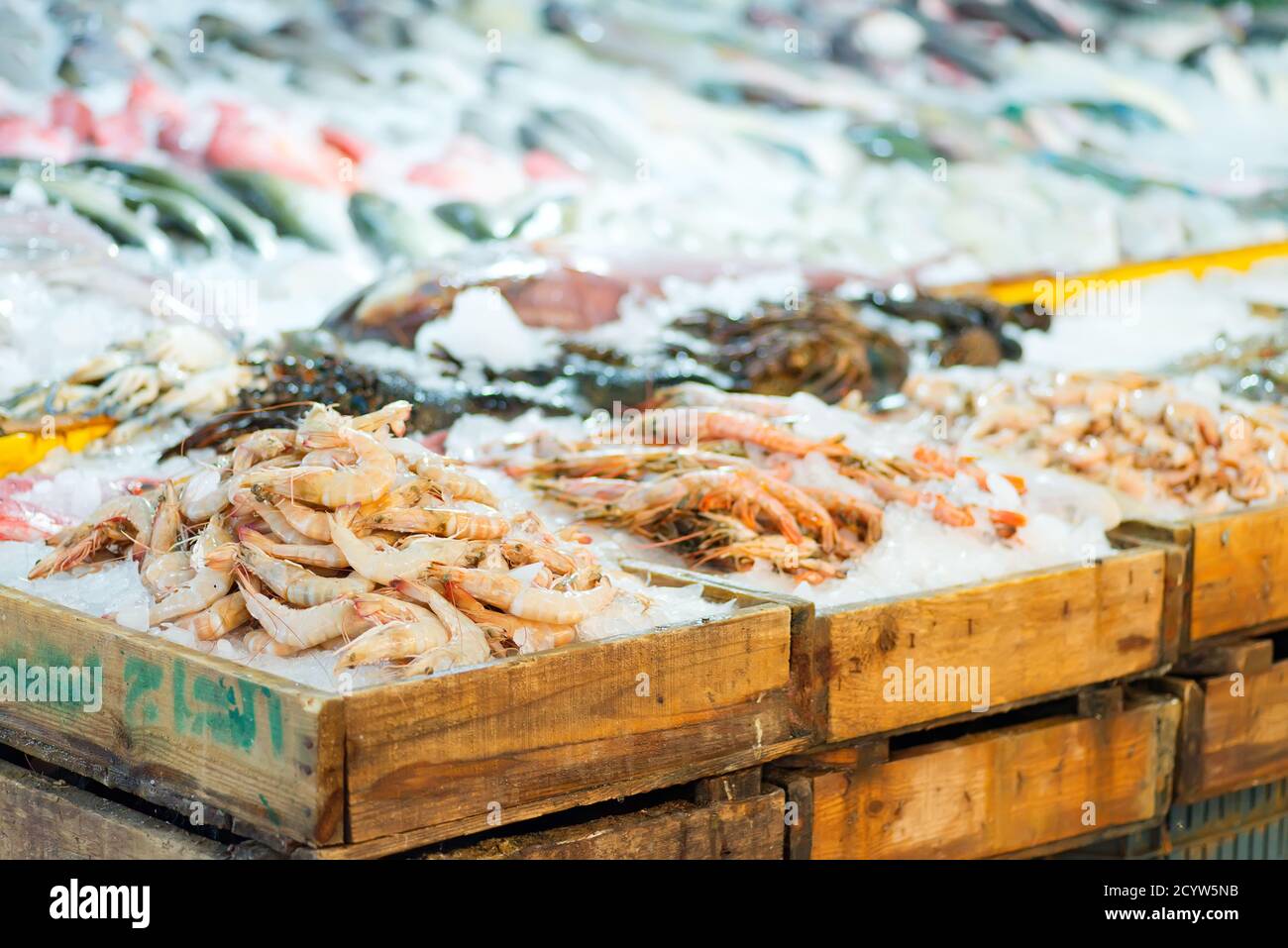 The iced countertop of the fish market with natural freshly caught ...
