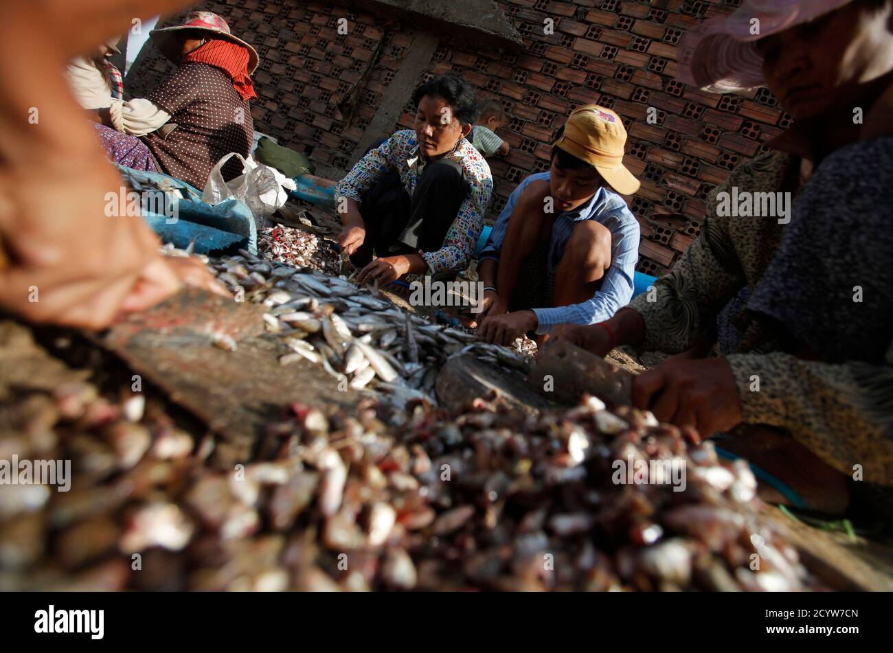 Prahok cambodia hi-res stock photography and images - Alamy