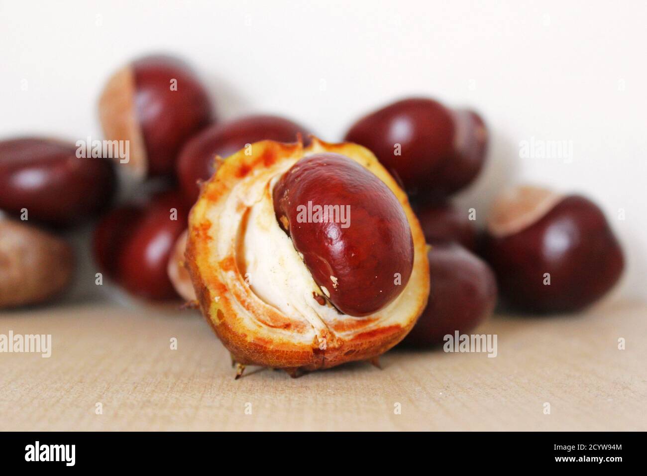 Opened conkers hi-res stock photography and images - Alamy