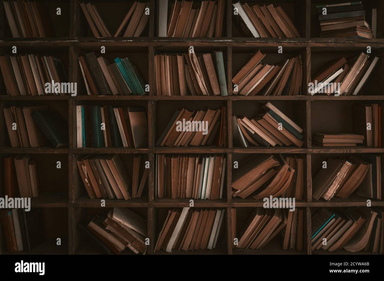 Bookshelf With Books Wallpaper