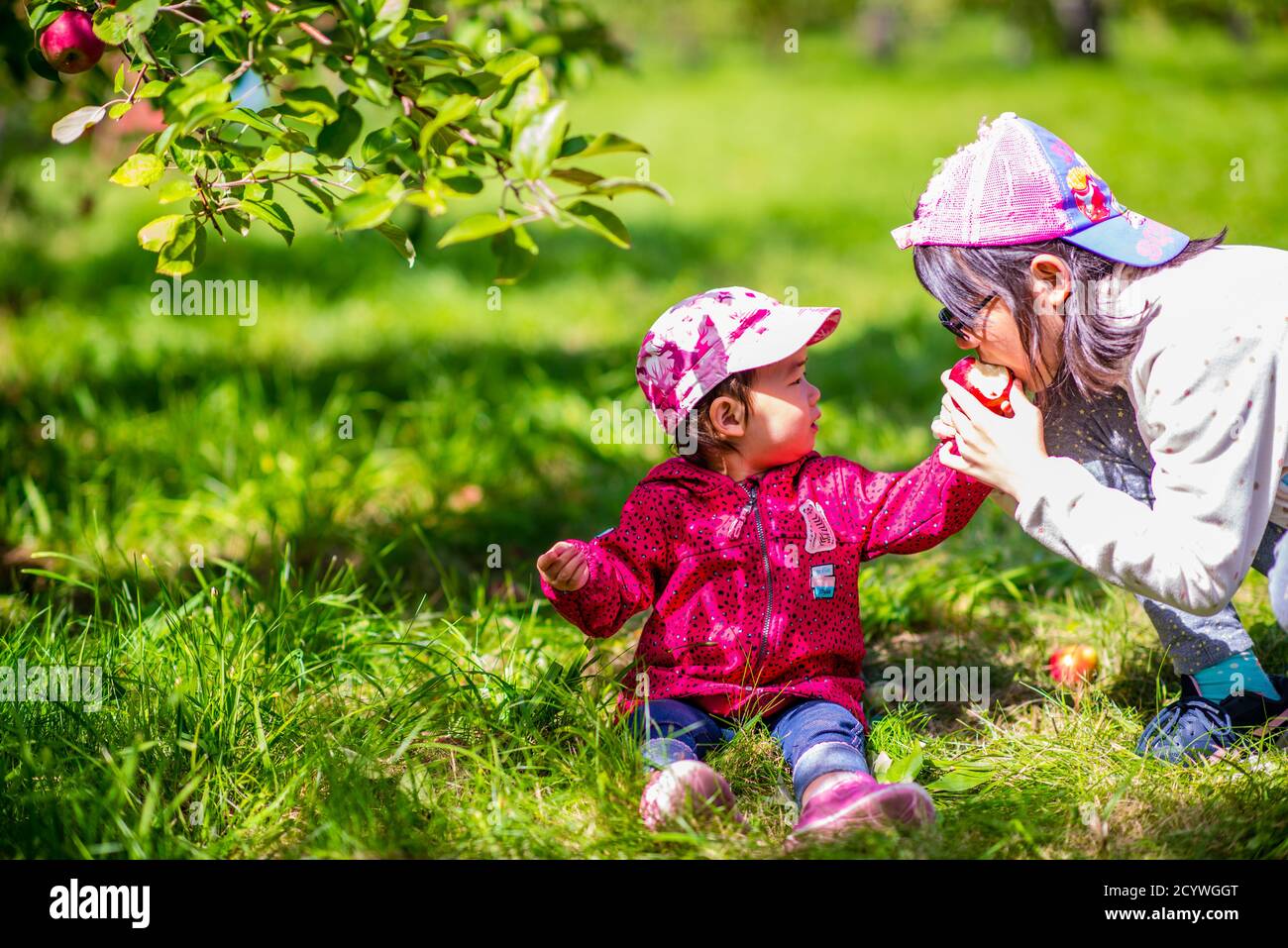 Children playing summer garden tree hi-res stock photography and images ...