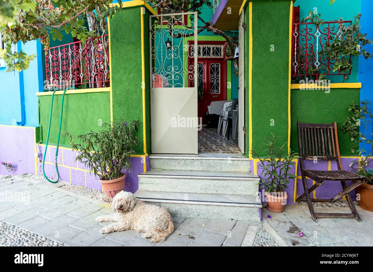 Traditional House with Dog Koskinou Rhodes Greece Stock Photo - Alamy