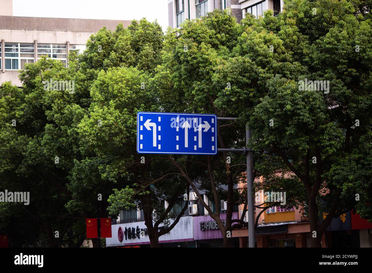 Road sign : pedestrian, go straight, turn right or left Stock Photo - Alamy