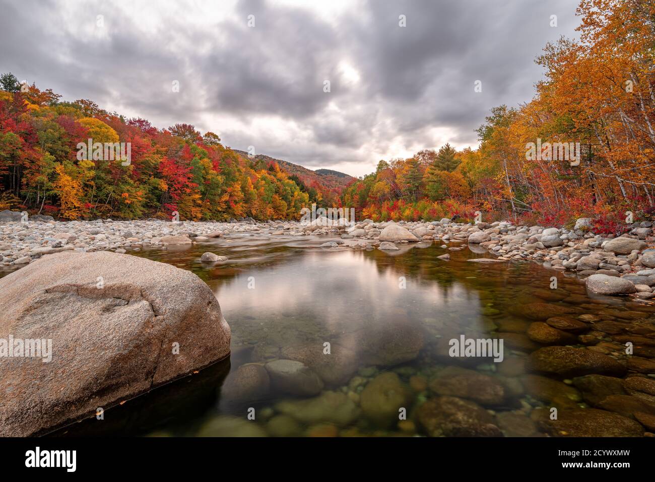 The fall foliage seen from the bank of the East Branch Pemigewasset ...