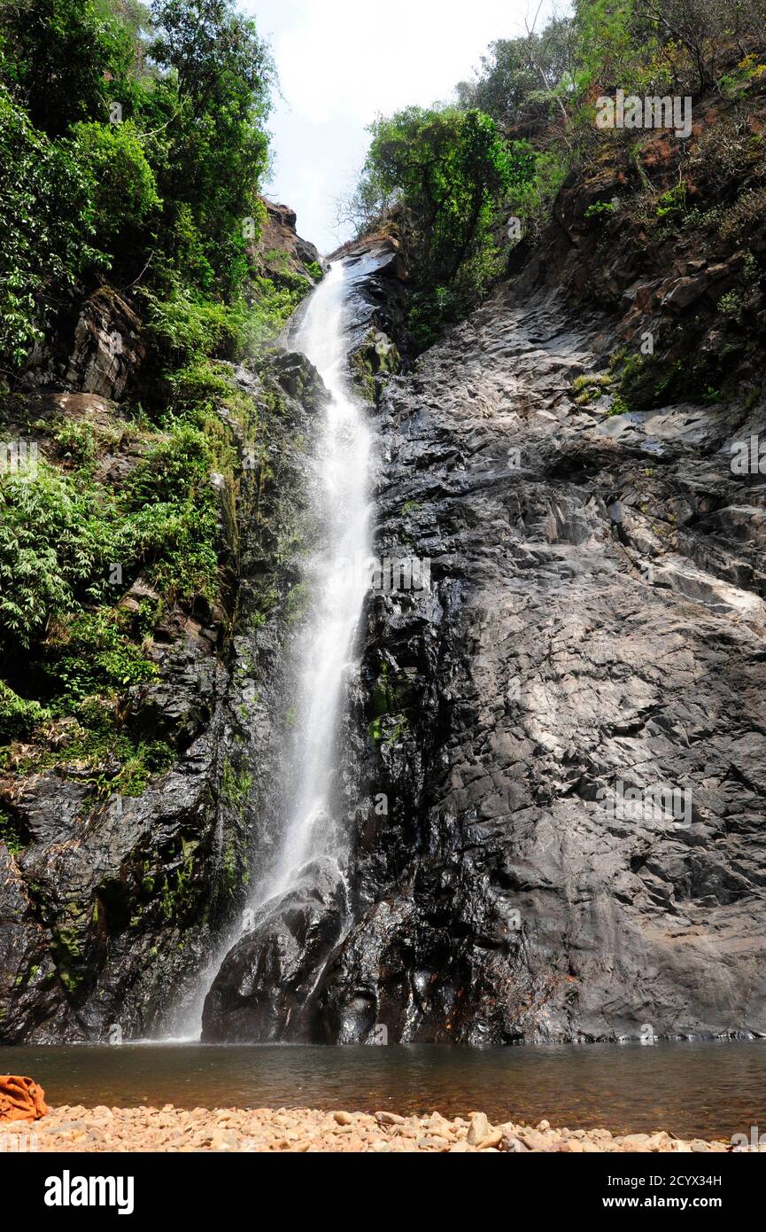 natural waterfall in the south indian jungle in Western Ghats Stock ...