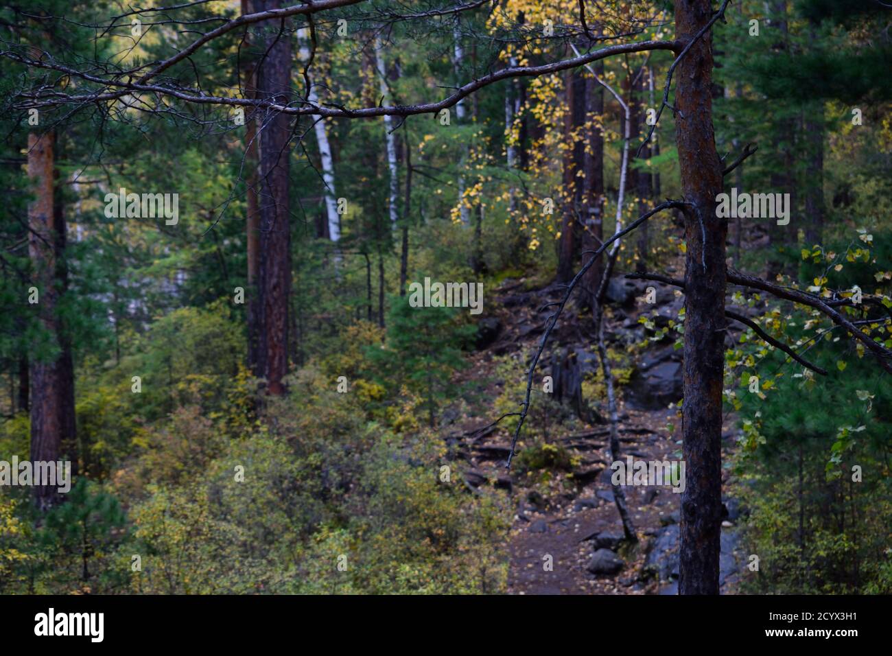 Uphill waterfalls in nature hi-res stock photography and images - Alamy