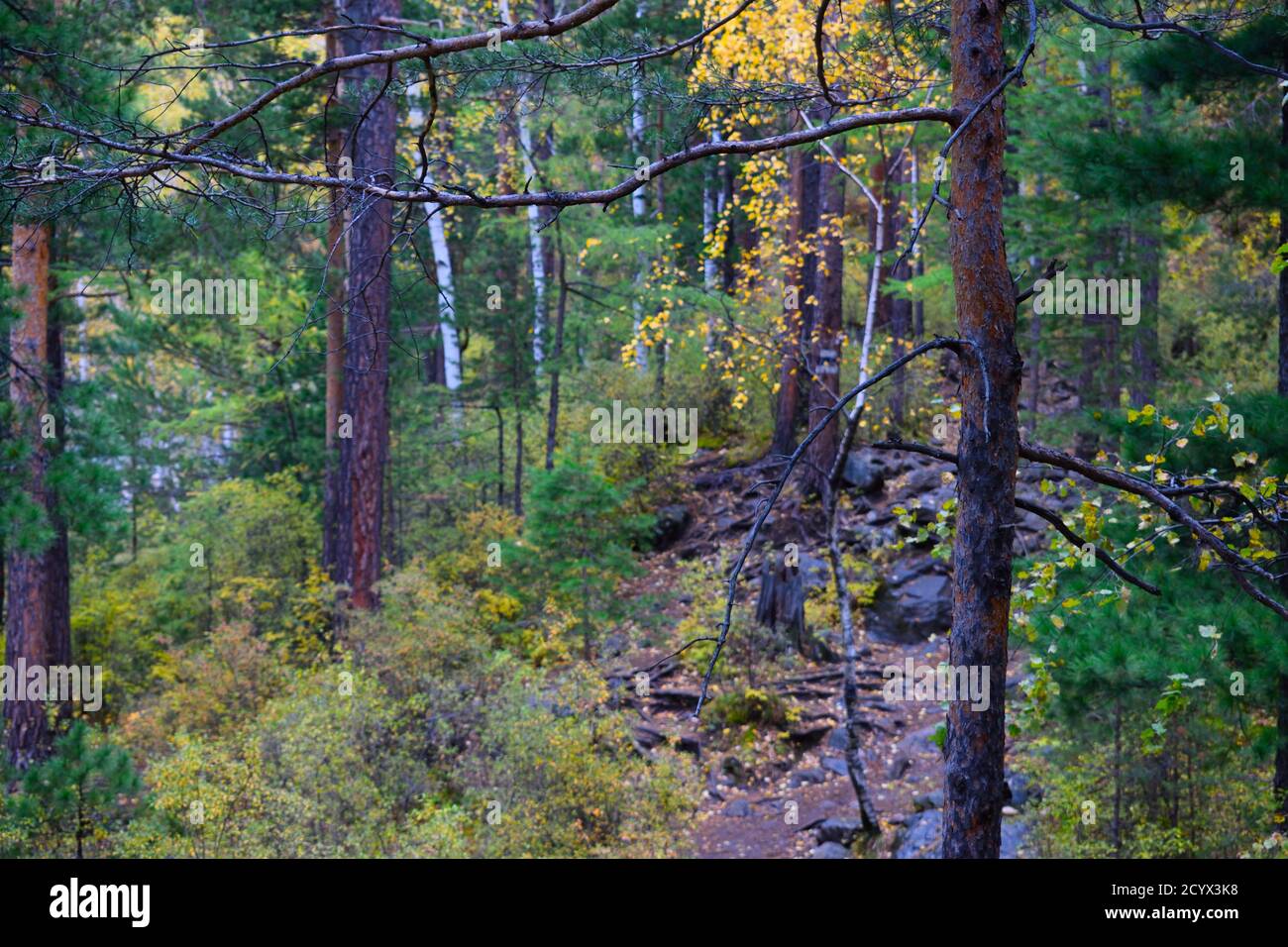 Uphill waterfalls in nature hi-res stock photography and images - Alamy