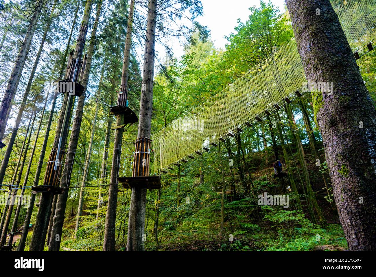 Go Ape Adventure. Found in a many of the national parks and local ...