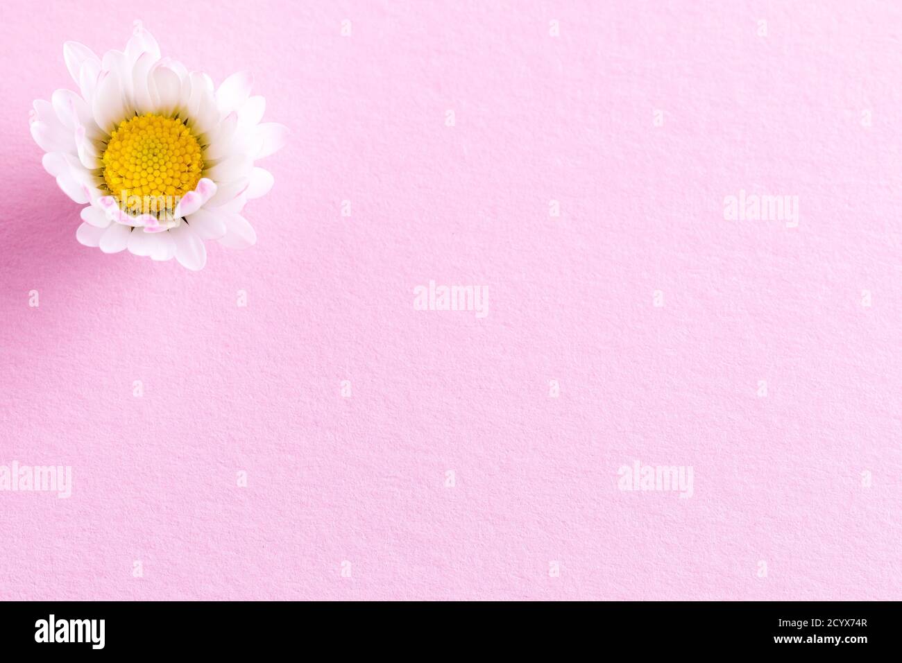 Delicate composition hi-res stock photography and images - Alamy