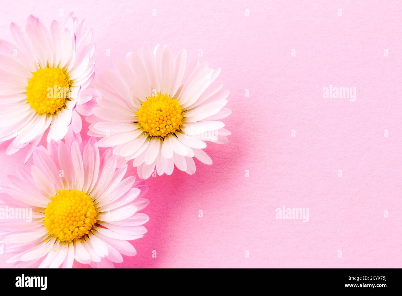 Delicate composition hi-res stock photography and images - Alamy