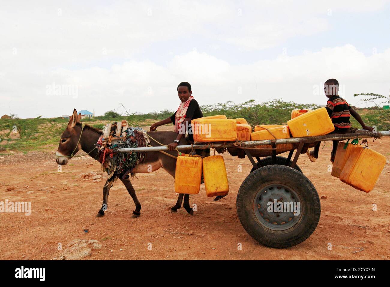 Donkey driven hi-res stock photography and images - Alamy