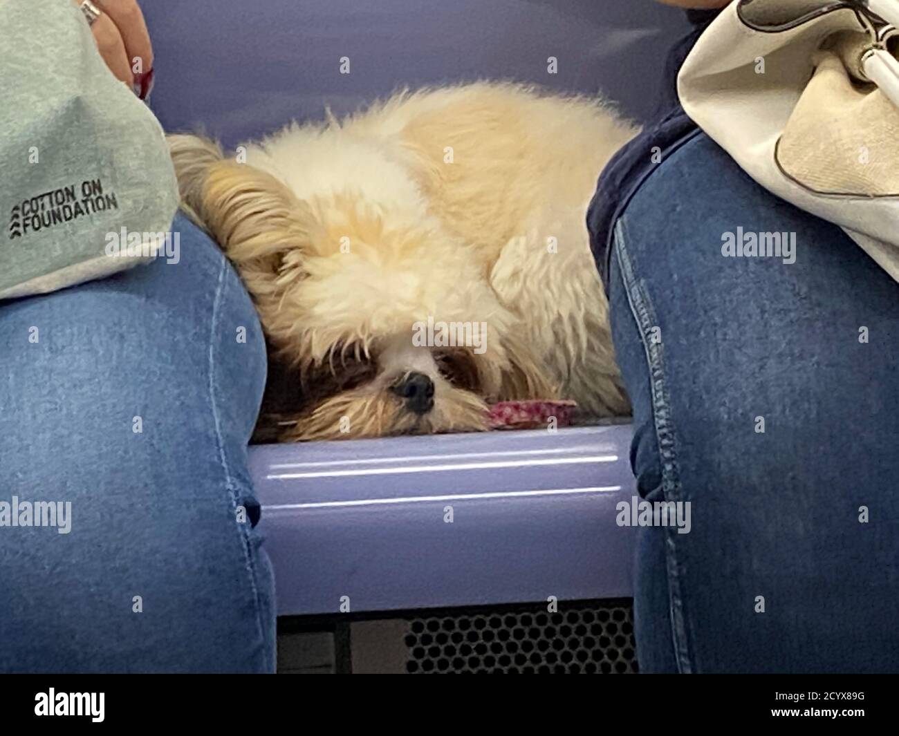 Sitting between legs hi-res stock photography and images - Alamy