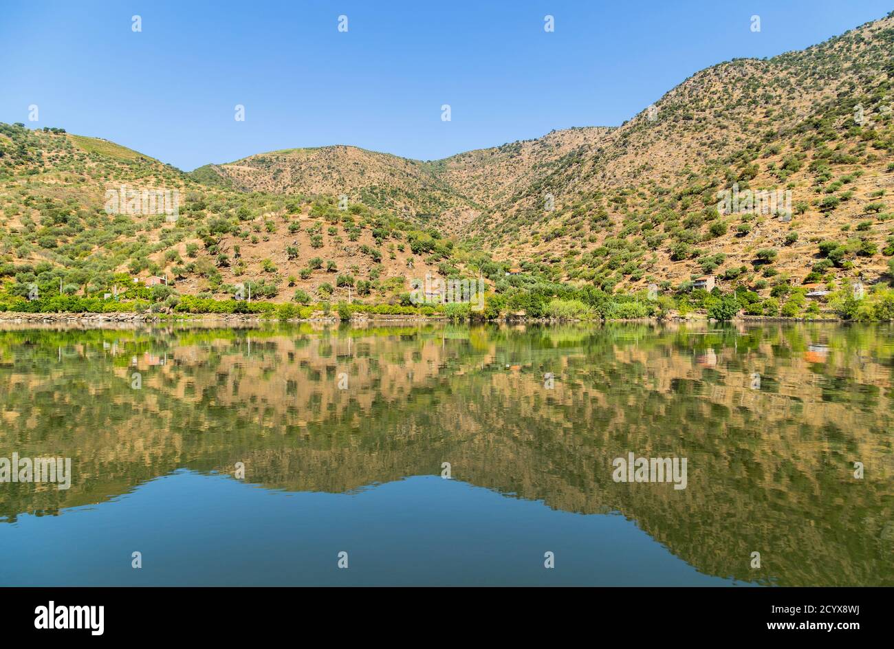 River Douro flowing in the north of Portugal. Douro Region Stock Photo ...