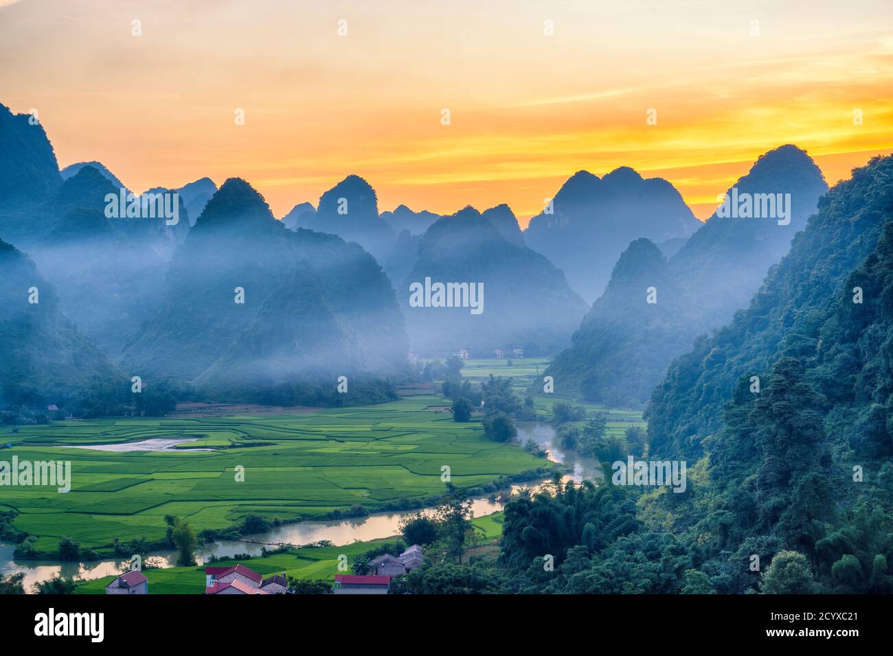Beautiful step of rice terrace paddle field in sunset and dawn at Trung ...