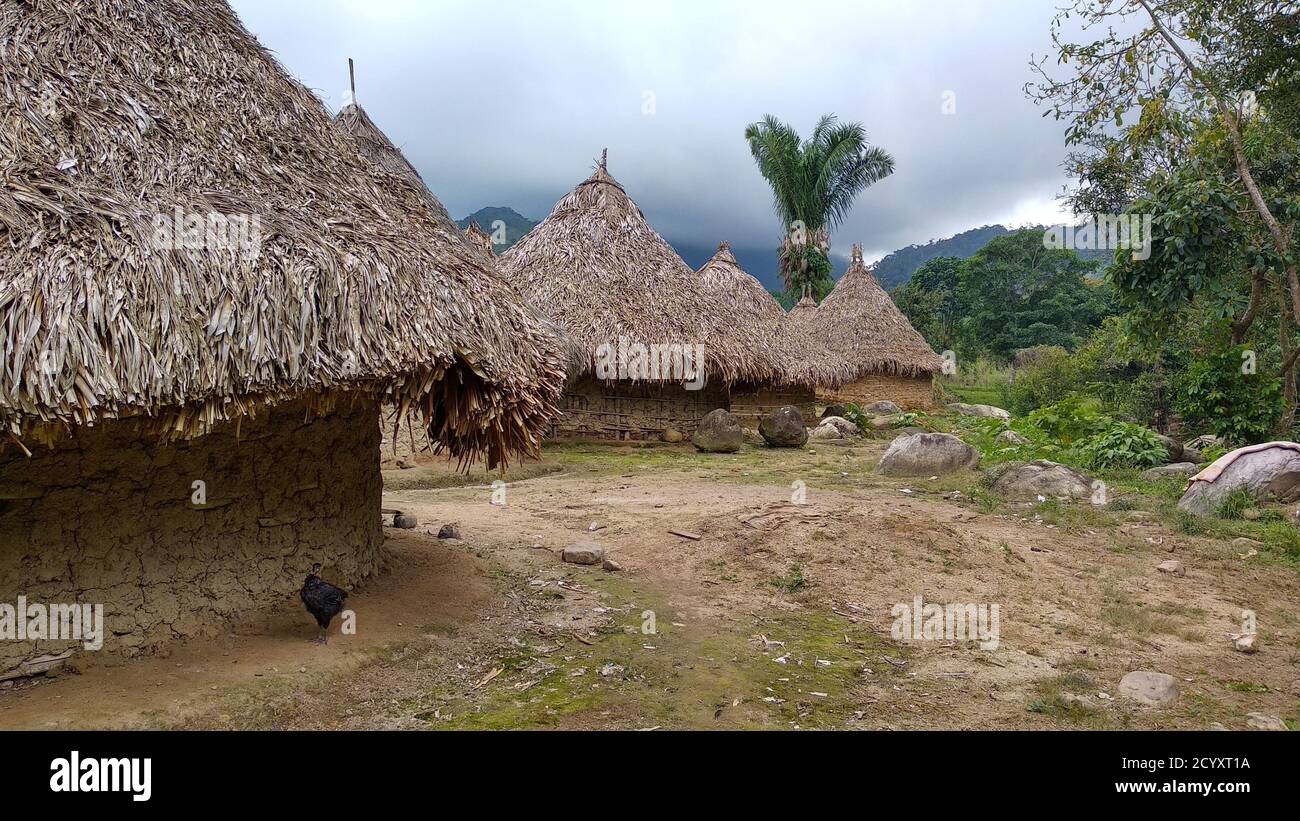 Horizontal shot of Tairona huts on the trail to the "Lost City" in ...