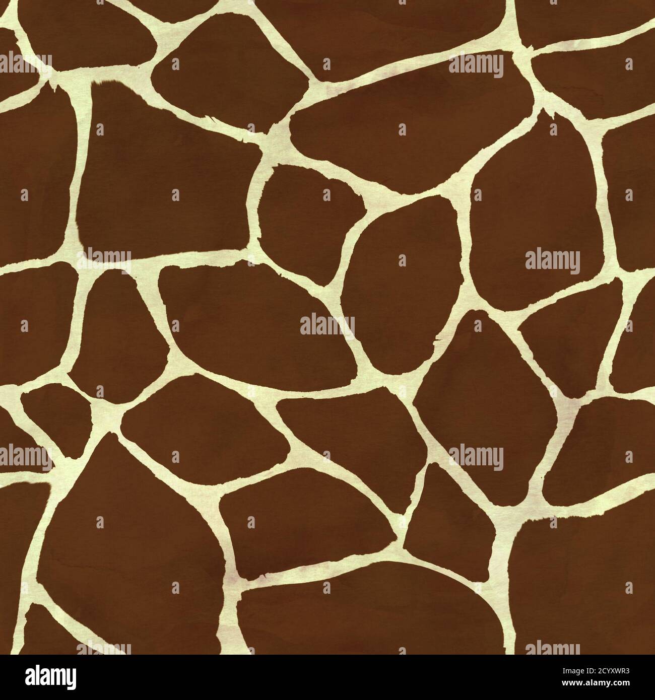 White and dark brown giraffe skin. Giraffe safari zoo jungle animal ...