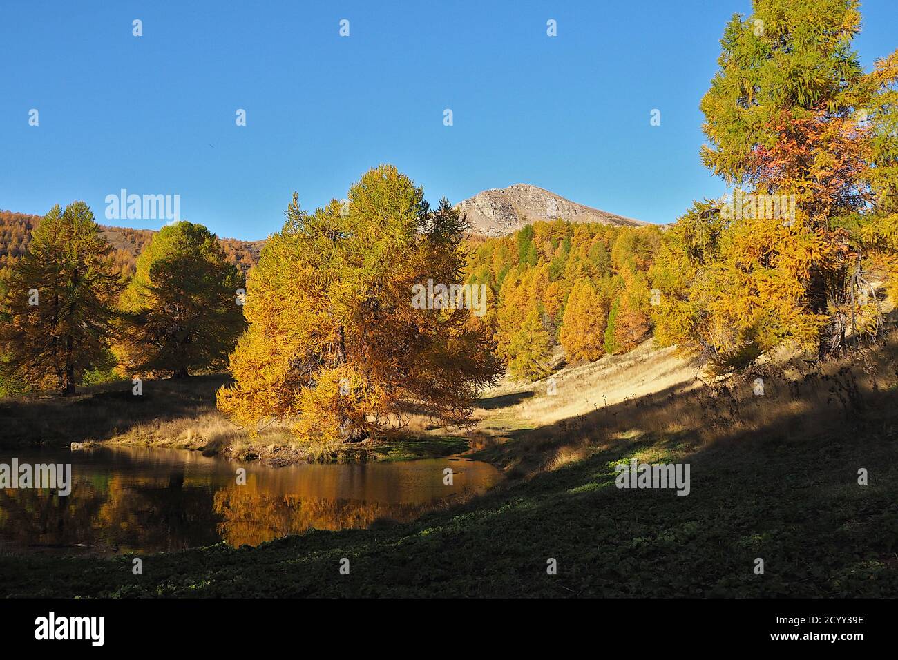 Alpine landscape in Autumn, Ligurian Alps, Italy Stock Photo - Alamy