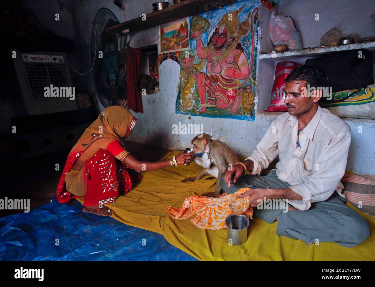 Monkey driver hi-res stock photography and images - Alamy