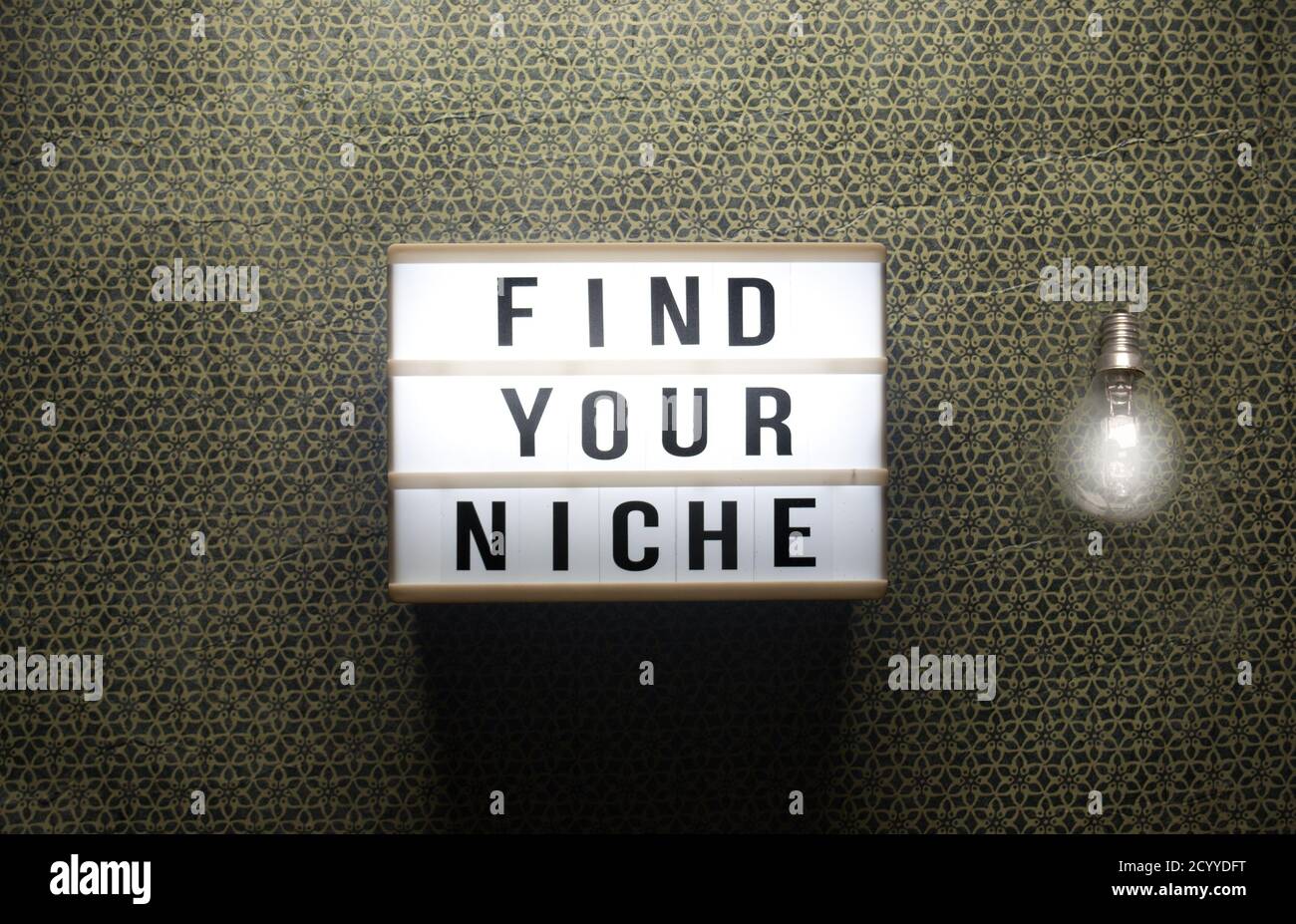 Find your niche light box Stock Photo - Alamy