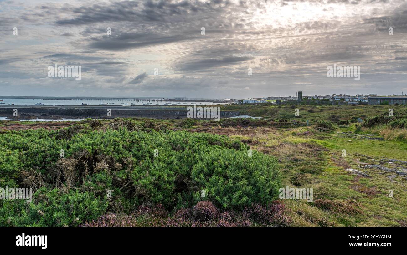 Breakwater Country Park, Holyhead, Anglesey Stock Photo - Alamy