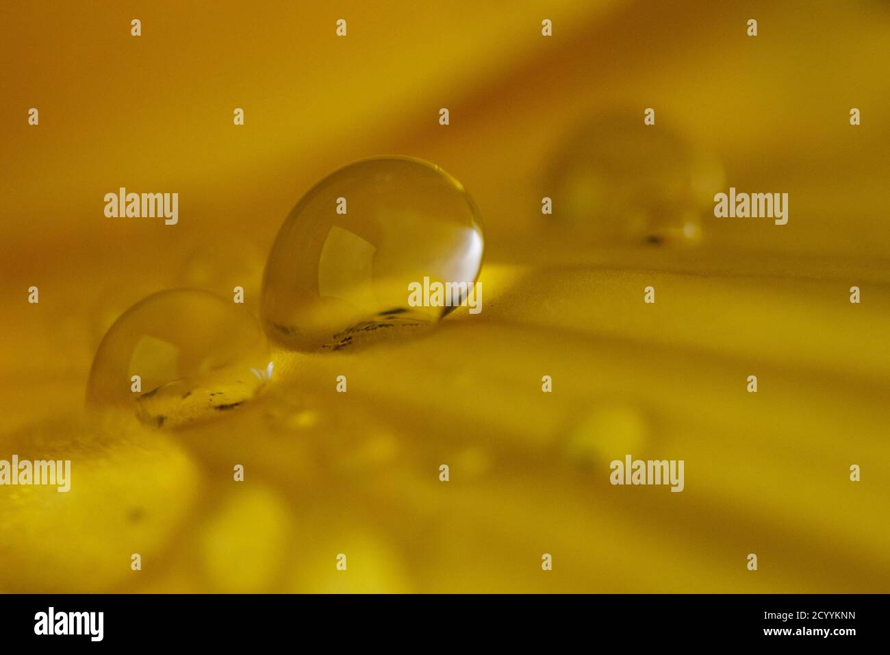 Macro shot of water droplets on the mustard yellow background Stock ...
