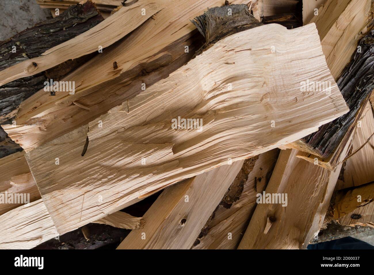 Light wood logs cut for fire place Stock Photo - Alamy