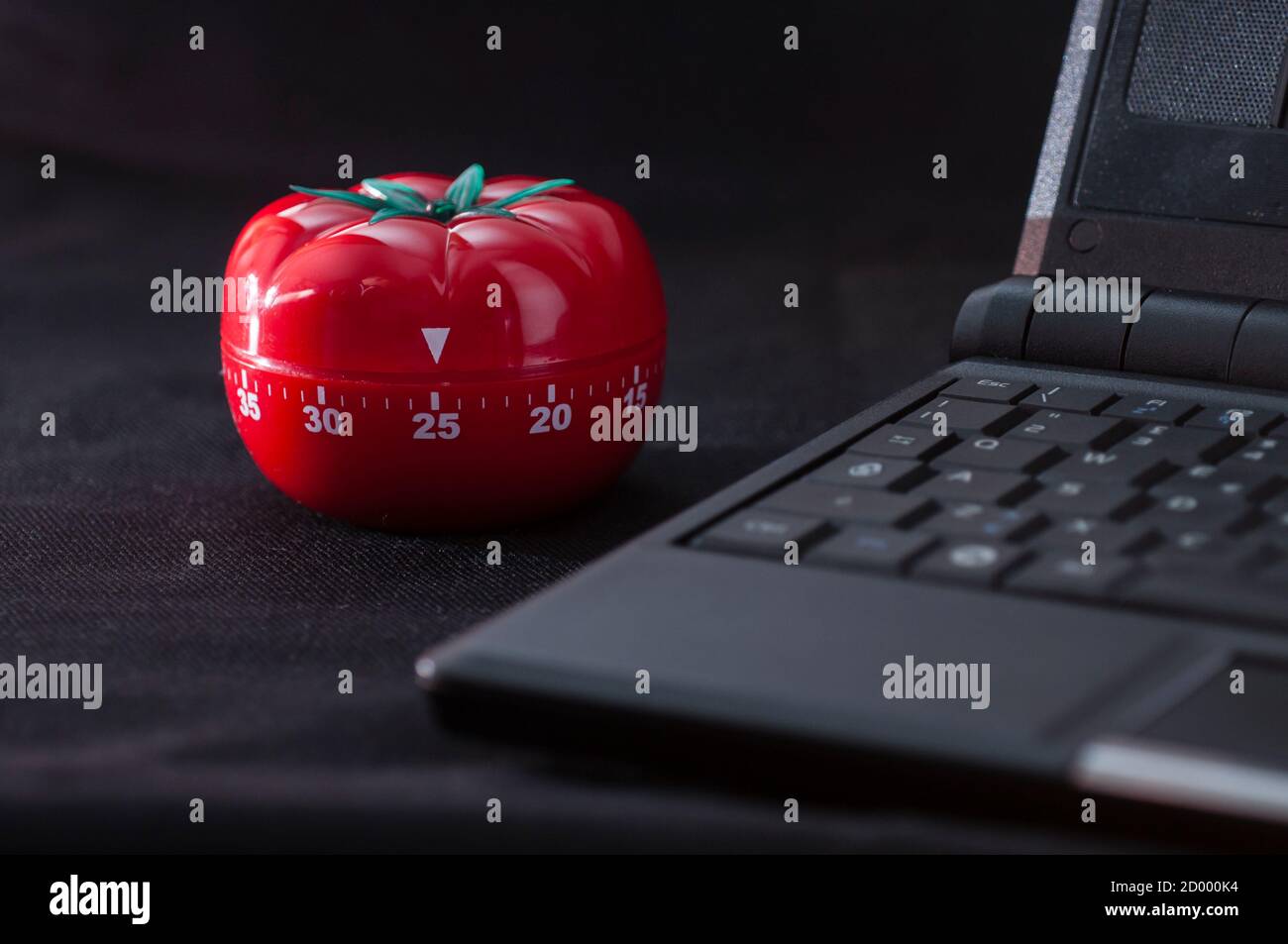 Mechanical Tomato shaped kitchen timer for cooking, studying and ...