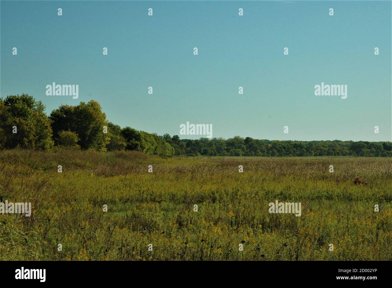 Goose Pond Waterfowl Area Stock Photo - Alamy