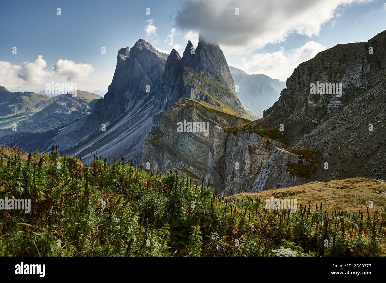 Seceda, nature park Puez-Geisler, St. Ulrich, South Tyrol, Italy Stock ...